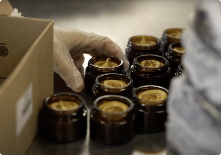 Entry-level Affiliate Program for SMEs | Awin Access